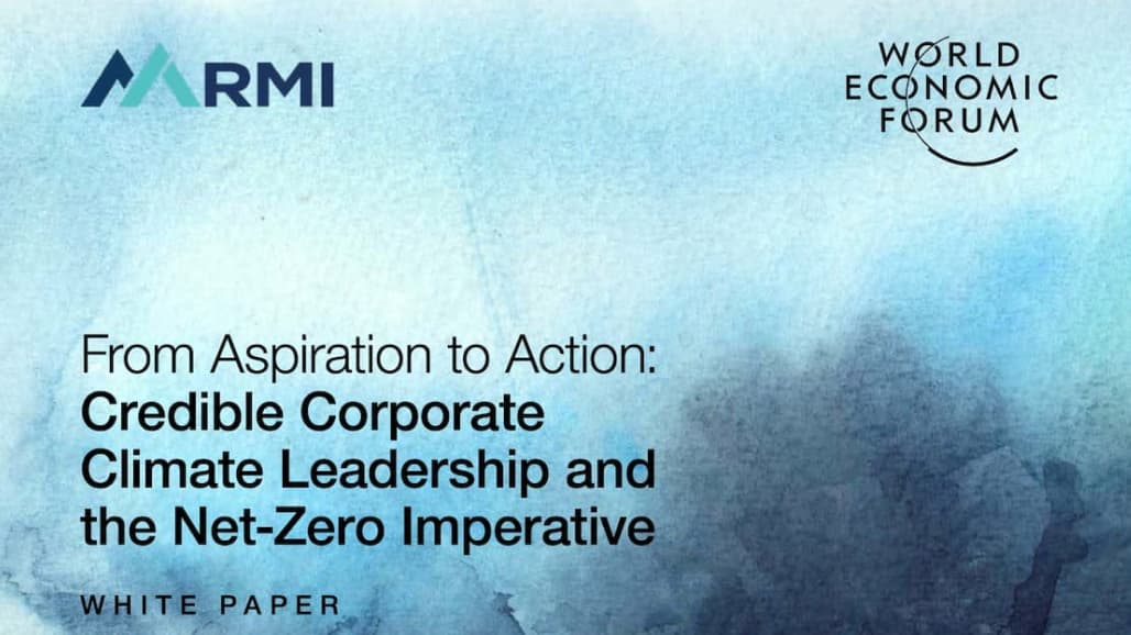 From Aspiration to Action: Credible Corporate Climate Leadership and ...